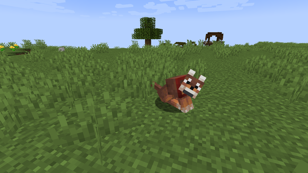 Asking The Real Question About The Minecraft Wolf Variants - How Petable Are They?