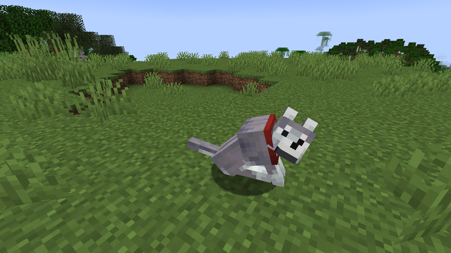 Asking The Real Question About The Minecraft Wolf Variants - How Petable Are They?