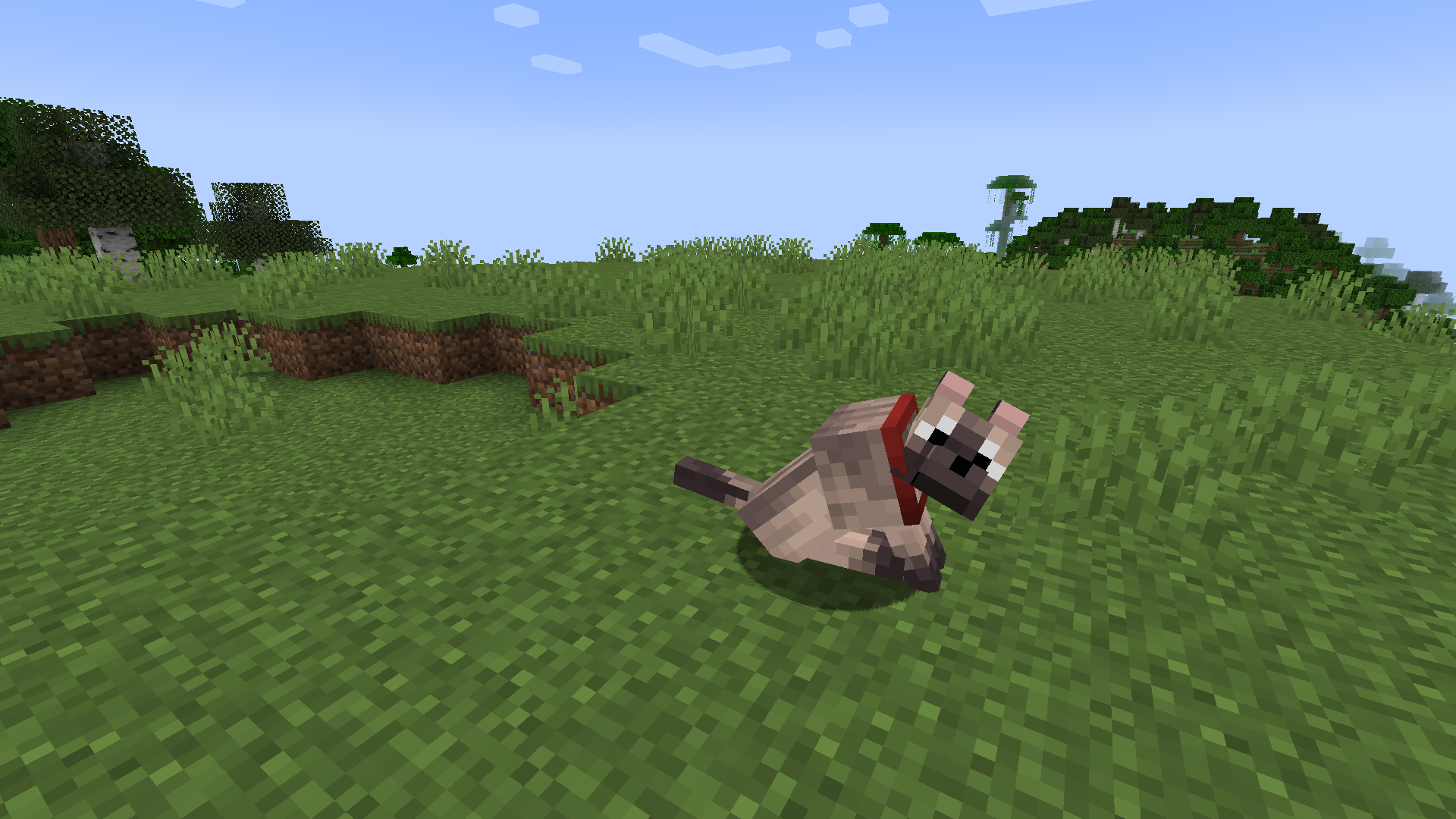 Asking The Real Question About The Minecraft Wolf Variants - How ...