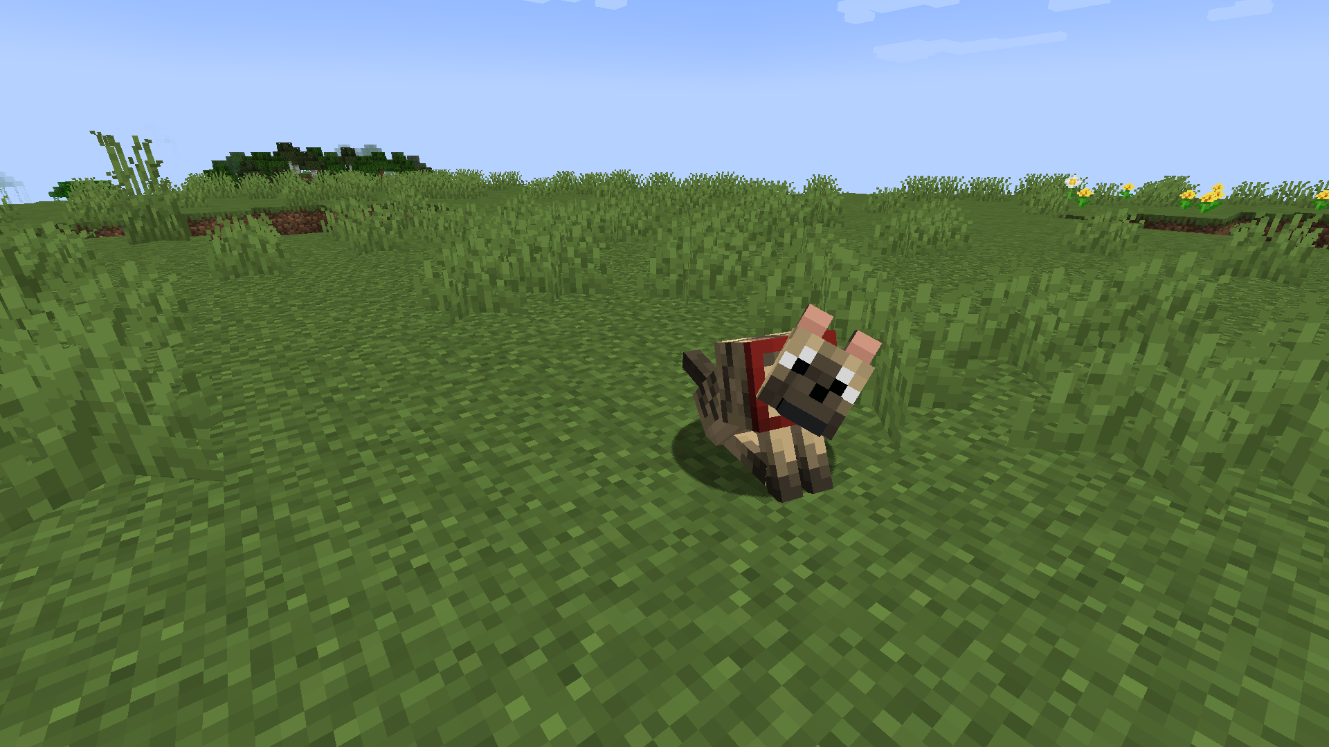 Asking The Real Question About The Minecraft Wolf Variants - How ...